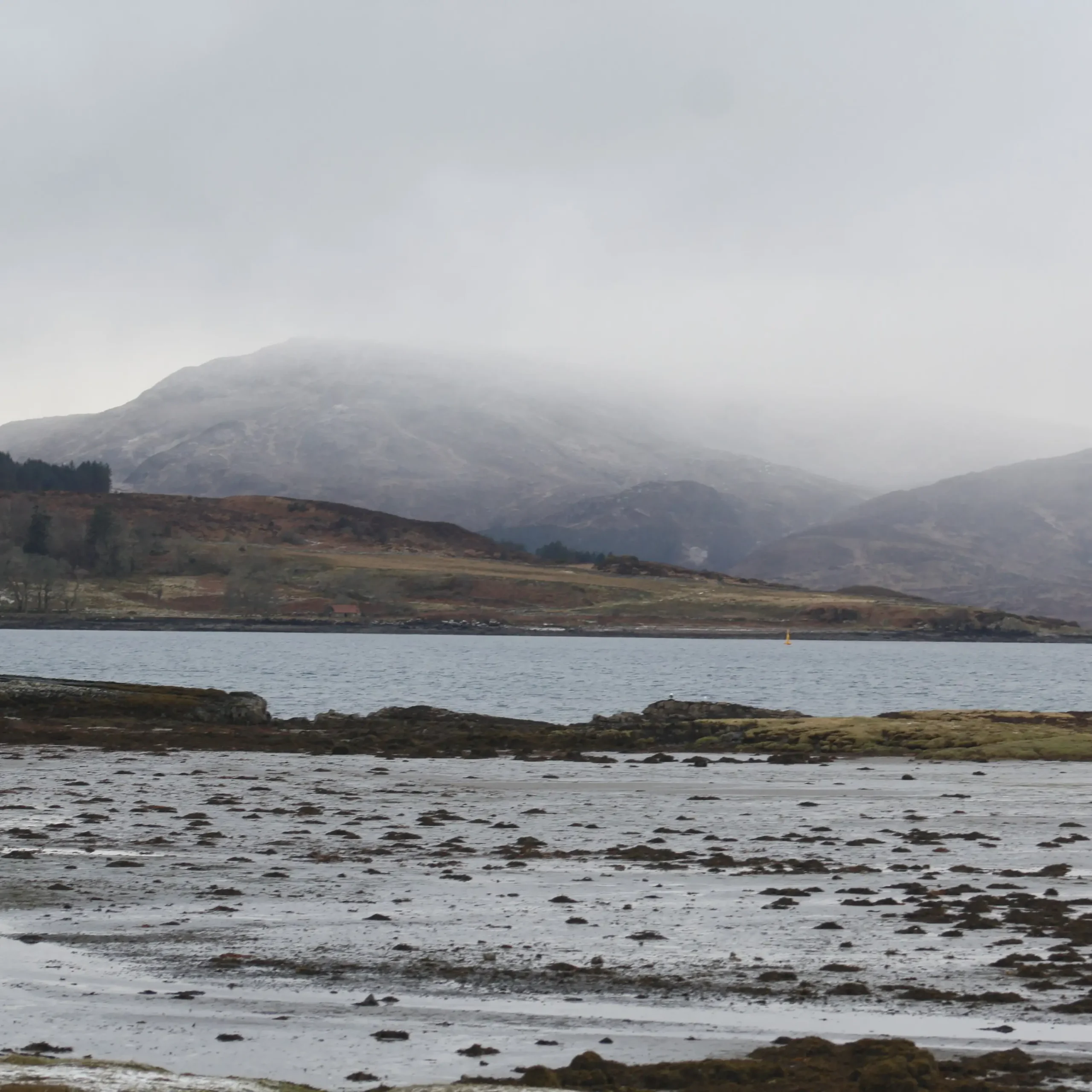 Ecology Surveys of the Month: February - EP Ecology