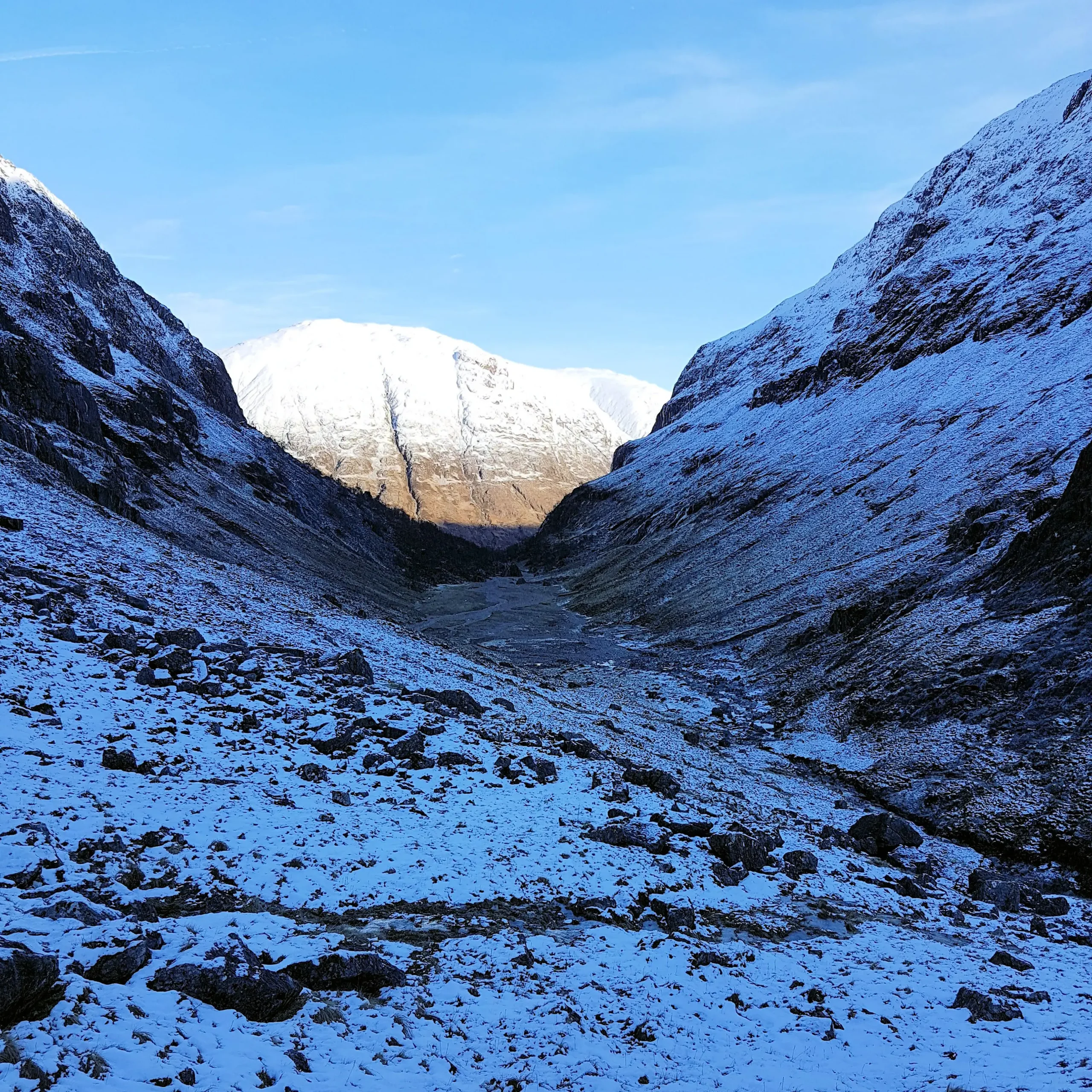 Ecology Surveys of the Month: January - EP Ecology
