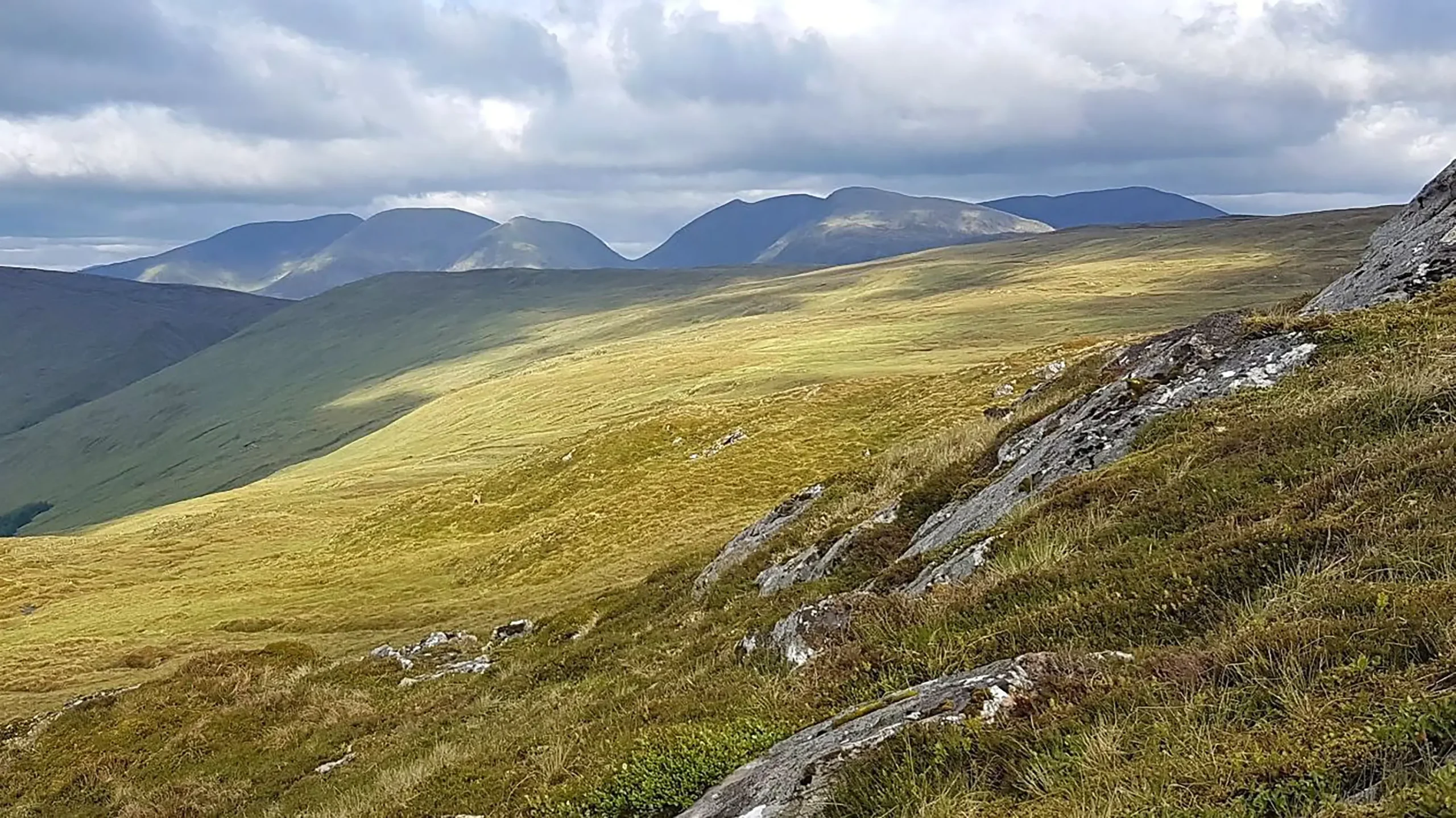 Ecology Surveys of the Month: March - EP Ecology